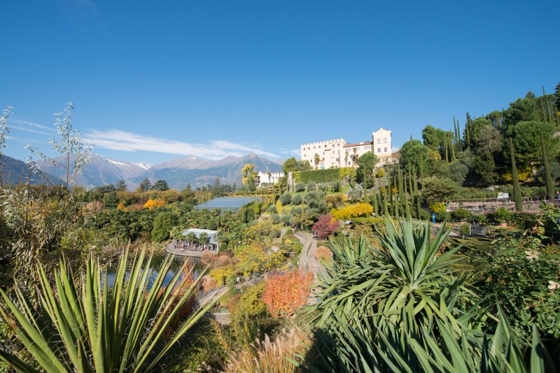 RITORNA LA FESTA D’AUTUNNO AI GIARDINI DI SISSI - AgoraNews RITORNA LA FESTA D’AUTUNNO AI GIARDINI DI SISSI - AgoraNews