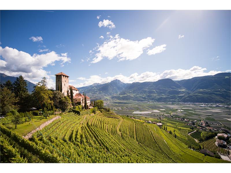 ALTO ADIGE: CASTEL LEBENBERG TRA PASSATO E PRESENTE - AgoraNews