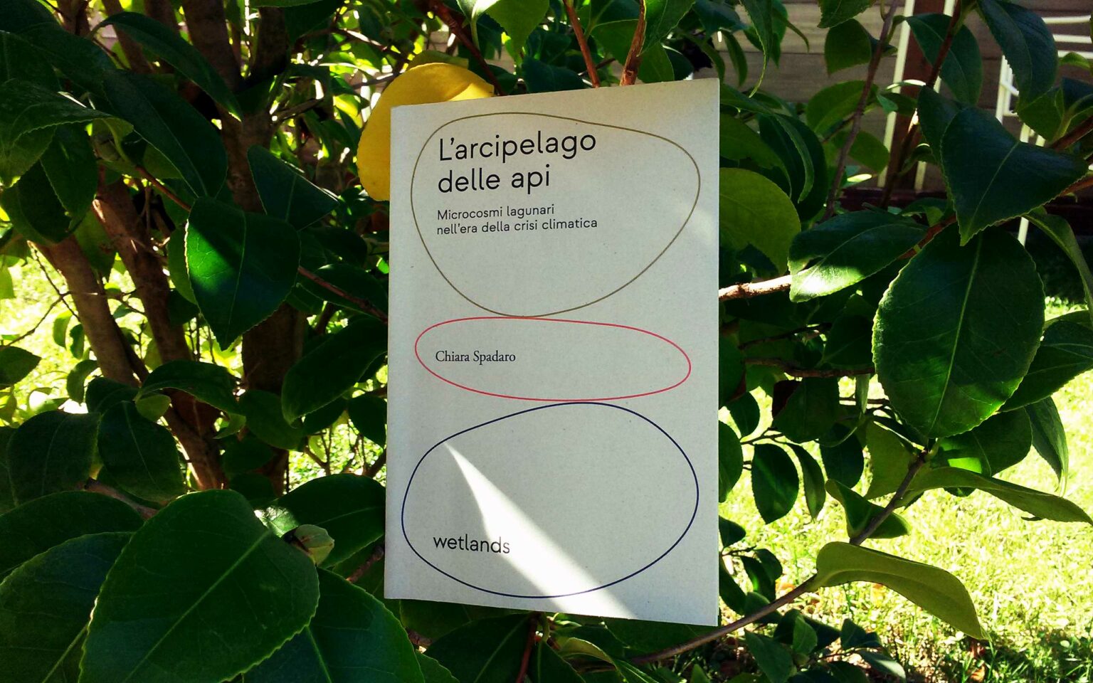 STORIE: L'ARCIPELAGO DELLE API - AgoraNews